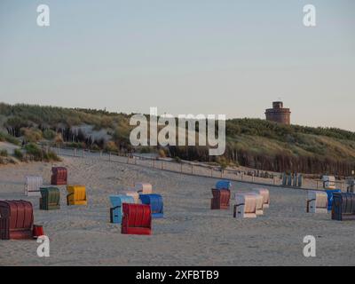 Evening atmosphere in dunes at the sandy beach Playa Sa Canova in Son ...
