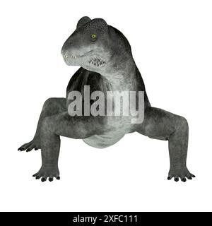 Ulemosaurus is an extinct genus of dinocephalian therapsids that lived ...