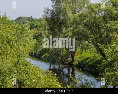 A river surrounded by dense green trees Stock Photo - Alamy