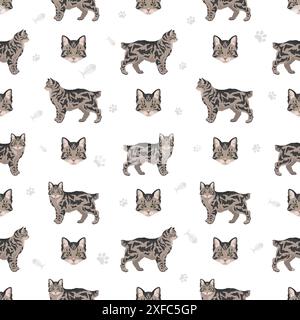 American Bobtail cat clipart. All coat colors set. All cat breeds ...