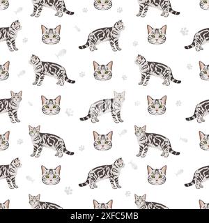 American Shorthair cat clipart. All coat colors set. All cat breeds ...