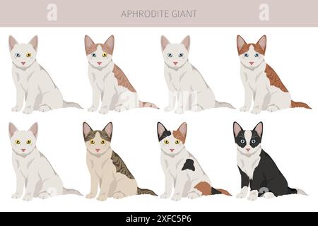 Aphrodite Giant. Cyprus cat clipart. All coat colors set. All cat ...