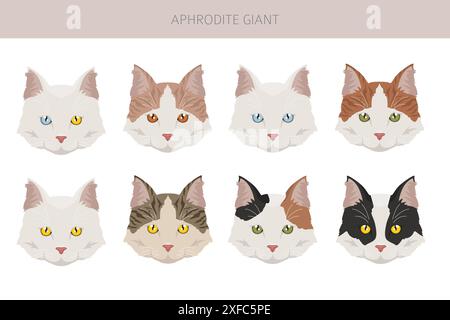 Aphrodite Giant. Cyprus cat clipart. All coat colors set. All cat ...