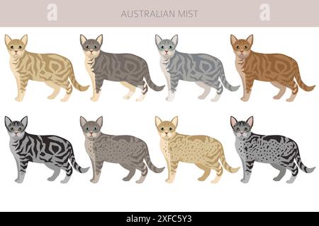 Australian Mist cat clipart. All coat colors set. All cat breeds ...