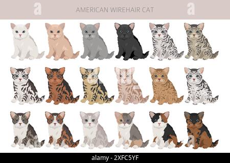 American Shorthair cat clipart. All coat colors set. All cat breeds ...