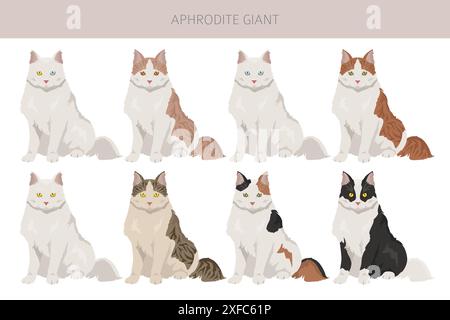 Aphrodite Giant. Cyprus cat clipart. All coat colors set. All cat ...