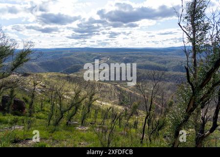 Outdoors in the bush in Australia exploring nature Stock Photo - Alamy