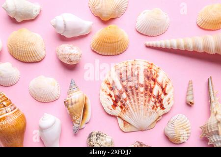 Different seashells on pink background. Place for product presentation ...