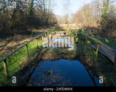 Tower hide and boardwalk, Catcott Lowes Nature Reserve, Somerset ...