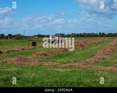 Farmer baling hay, Catcott Lows Nature Reserve, Somerset Levels and Moors, Somerset, England, UK ...