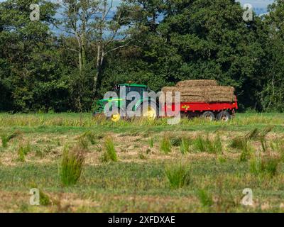 Farmer baling hay, Catcott Lows Nature Reserve, Somerset Levels and Moors, Somerset, England, UK ...