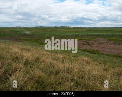 Looking across grazing marsh towards Glastonbury and Glastonbury Tor ...