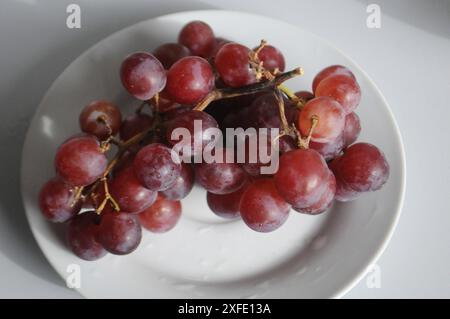 Copenhagen/ Denmark/03 July 2024/Grape fruit in danish capital (Photo ...