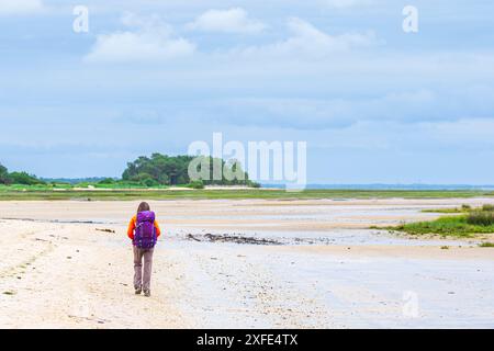 France, Gironde, Ares, hike of the Tour du Bassin d'Arcachon, Ares ...