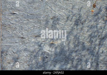 Old painted OSB sheet as a background Stock Photo - Alamy