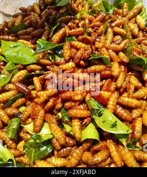 Crunchy fried insect and savory silkworm pupa metal tray with spoon ...