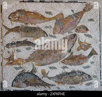 Ancient mosaic representing fish. Rome Stock Photo - Alamy