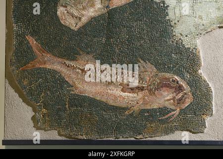 Ancient roman mosaic with maritime scenes, from the Via Panisperna in ...