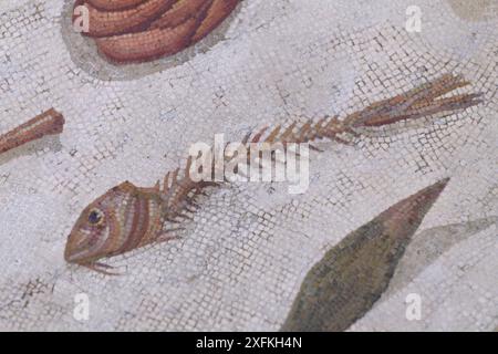 Asarotos oikos mosaic (Ancient Greek: ἀσάρωτος οἶκος "the unswept floor ...