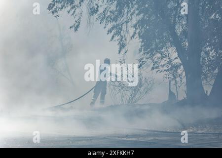 People escape from a fire with lots of smoke. tree devoured by flames ...