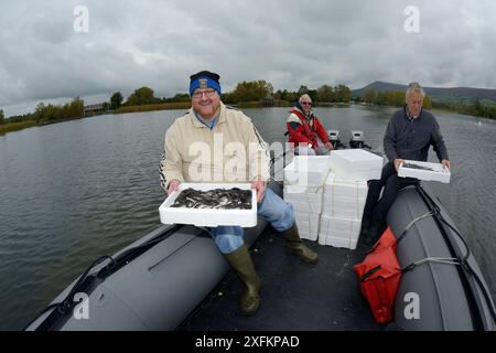 European eel (Anguilla anguilla) elvers transported in insulated boxes ...