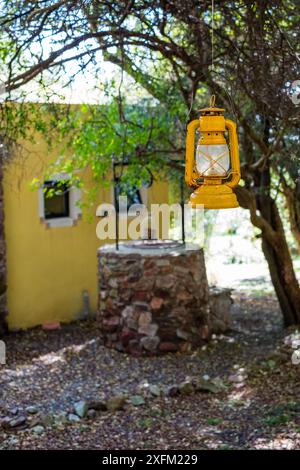 A yellow lantern hanging from a tree. The lantern is lit and the light ...