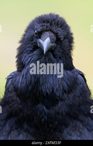 Clarion Island, Revillagigedo Archipelago Biosphere Reserve ...