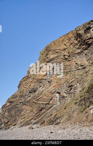 Chevron folds of Sandstone and shale rock layers in Millook Haven ...