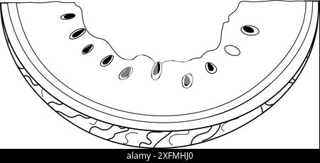 Watermelon rind line art. Bitten watermelon slice with rind and flesh ...