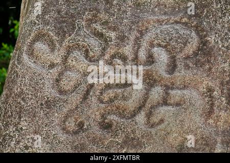 Petroglyphs of Walpaulban, Rio Platano Biosphere Reserve and UNESCO ...