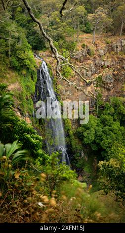 Morans Falls, Lamington National Park Stock Photo - Alamy