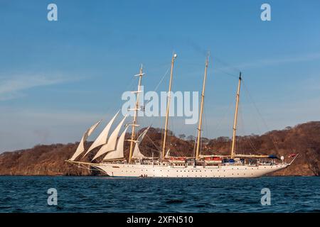 Sailing ship Starflyer (Star Clippers fleet) furling sails at sunrise ...