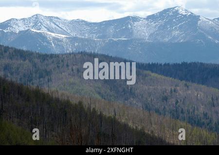 Landscape of Central Sikhote-Alin UNESCO World Heritage Site ...