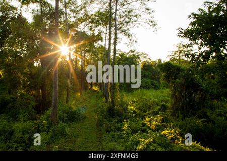 Manas National Park UNESCO Natural World Heritage site, a Project Tiger ...