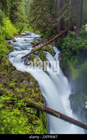 Sol Duc Falls flowing into the narrow, moss-covered gorge of the Sol ...
