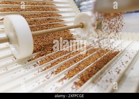 Grain sorting machine, Paddy machine sorts grains of one crop ...