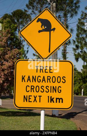 Lumholtz's tree-kangaroo road sign, Queensland, Australia Stock Photo ...