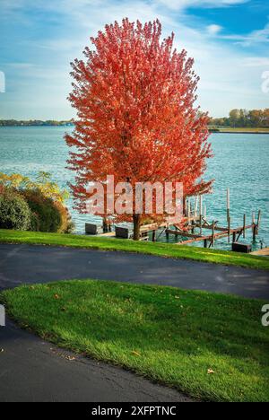 fall colors off wood overlook deck river view Stock Photo - Alamy