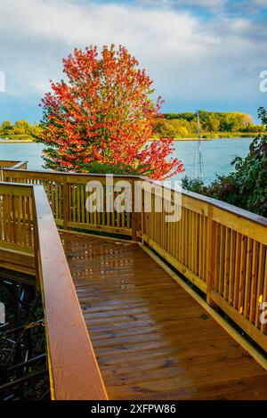 fall colors off wood overlook deck river view Stock Photo - Alamy