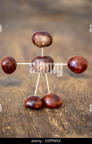 Chestnut Man On Dark Wood Stock Photo - Alamy