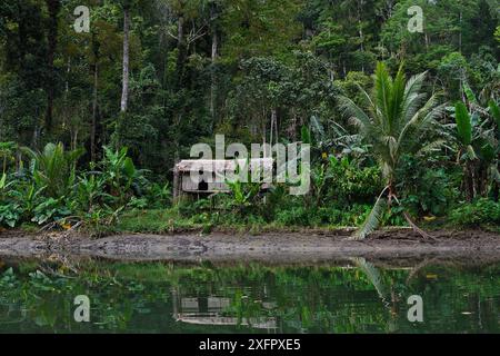 River in rainforest in Misool, Gam river, Raja Ampat, Western Papua ...