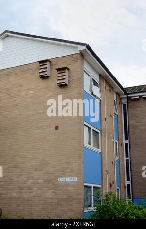 Two multiple nestboxes for Common swifts (Apus apus) attached to the ...