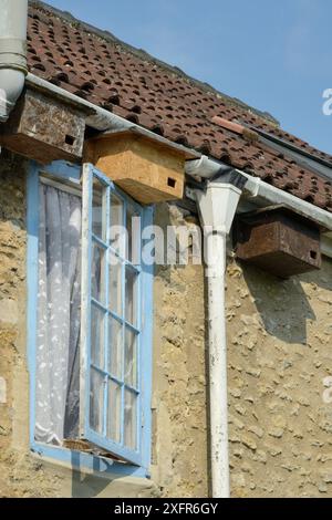 Swift nest boxes atached to the eaves of a cottage, Hilperton ...