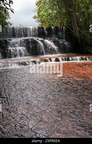 Venezuela South America La Gran Sabana Aerial view Swamp Water Tropical ...