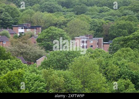 Housing estate in Gleadless valley surrounded by woodland. Sheffield ...