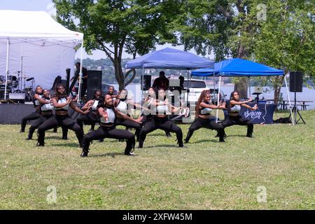The Sapphire Dance line who accompanied the Cobra Marching Band at the ...