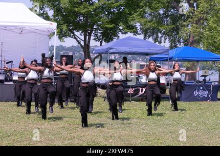 The Sapphire Dance line who accompanied the Cobra Marching Band at the ...
