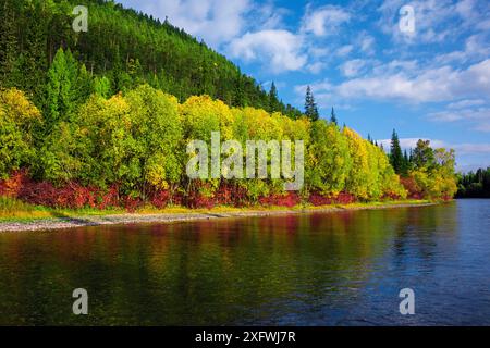 Landscape of the upper reaches of the Lena River, Baikalo-Lensky ...