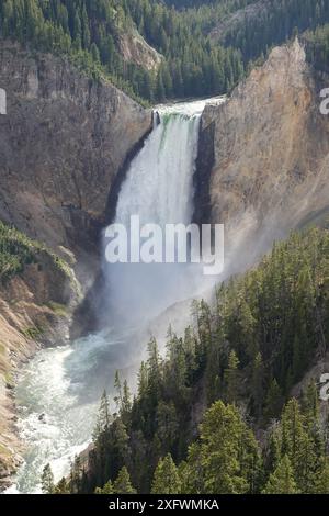 The Lower Falls of the Yellowstone River is a stunning natural landmark ...