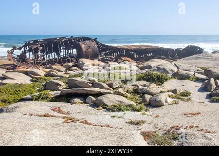 Wreck of the Aristea, a fishing trawler that ran aground on 4th July ...